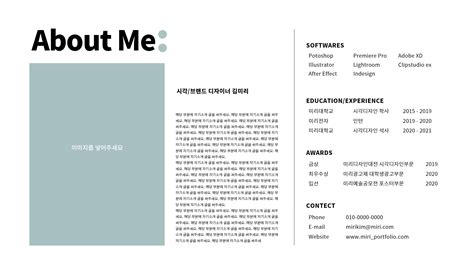 Professional Portfolio Ppt Profile Design Template