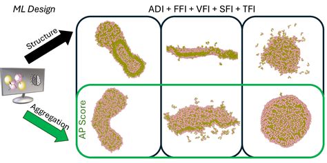 146 Automated Descriptors For High Throughput Screening Of Peptide Self Assembly
