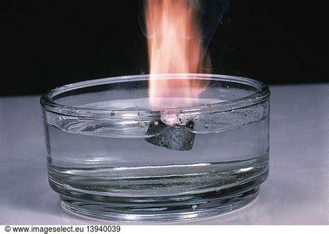 Lithium Reacting With Water Lithium Reacting With Water Alkali Density Experiment Hydrogen Gas
