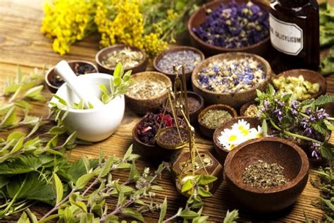 Iran To Export Medicinal Herbs To 3 Countries Mehr News Agency