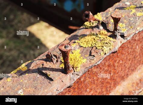Rust Corrosion Texture Full Frame Image Background Stock Photo Alamy
