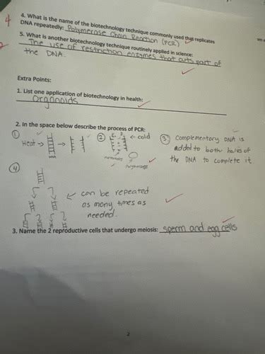 Biology Final Exam Questions Flashcards Quizlet