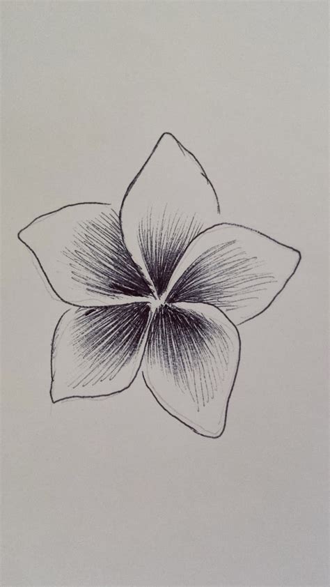 Spruch Bilder Simple Easy Pen Drawings For Beginners