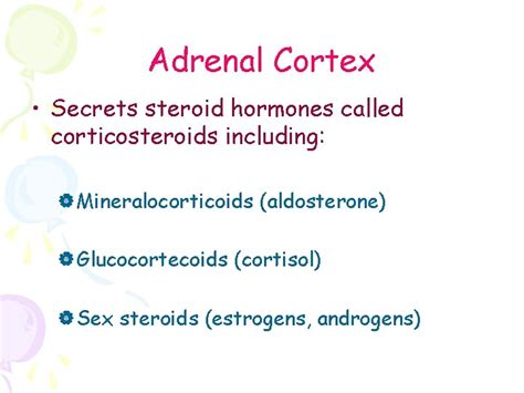Endocrinology 2 Lecture Notes Adrenal Glands We Have