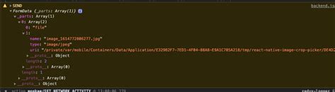 FormData Not Being Sent In Request Issue 120 MaxToyberman React