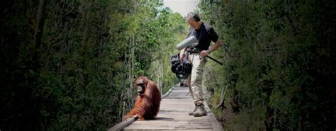 Does Camera Sensor Size Matter Artlist