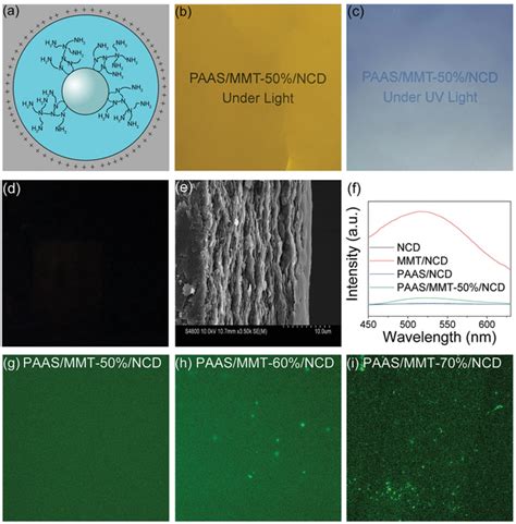 A Concise Sketch Of Ncd Paasmmt‐50ncd Film Under B Light C Uv
