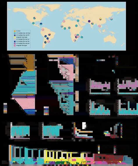 Nature Genetics 河南农科院张新友院士团队揭示花生遗传驯化史和表型分化的遗传机制 知乎