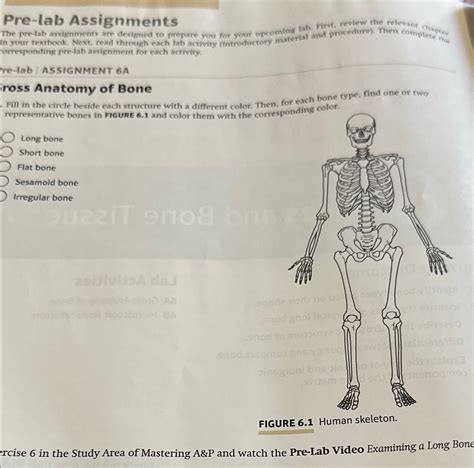 Solved Pre Lab Assignmentsthe Pre Lab Assigmments Are