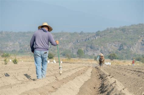Premium Photo Traditional Farming Campesino Cultivating Amaranth