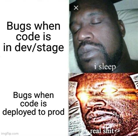 hidden bugs r programmerhumor