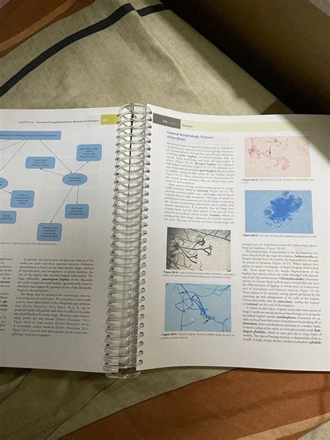 Pathoma Fundamentals Of Pathology Medical Course And Step 1 Review