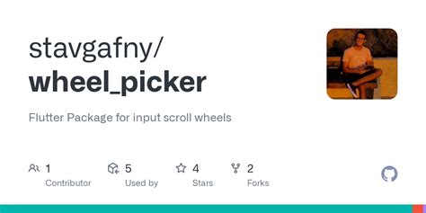 GitHub Stavgafny Wheel Picker Flutter Package For Input Scroll Wheels