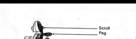 String Techniques Final Study Set Flashcards Quizlet