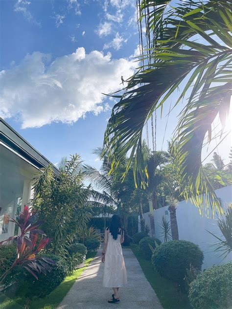 2022보홀and세부여행 25 몽키호핑 프리다이빙 투어강습나팔링 호핑 우베코해피풋 스파 과일가게할로망고졸리비펭스알로나 비치 네이버 블로그