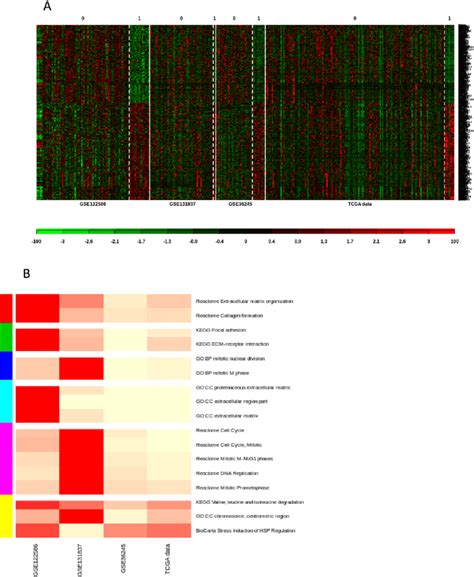 A Hierarchical Clustering Heat Map Of 1054 Degs From Wild Type Idh1 Download Scientific