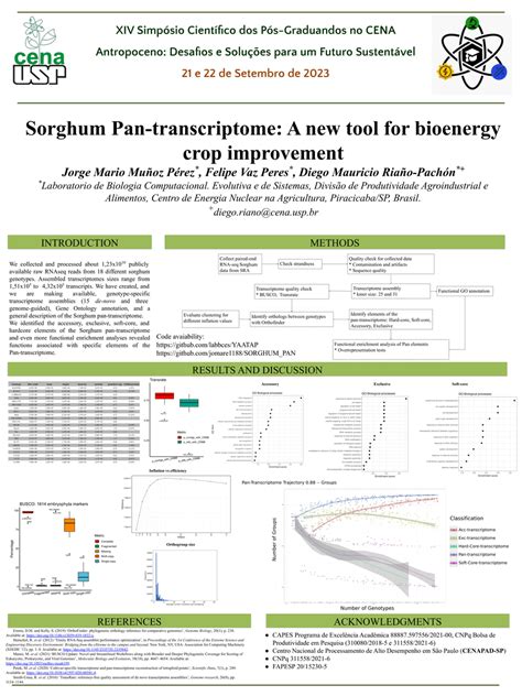 Sorghum Pan Transcriptome Labbces
