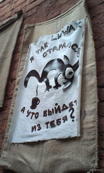 Лювак | Пикабу