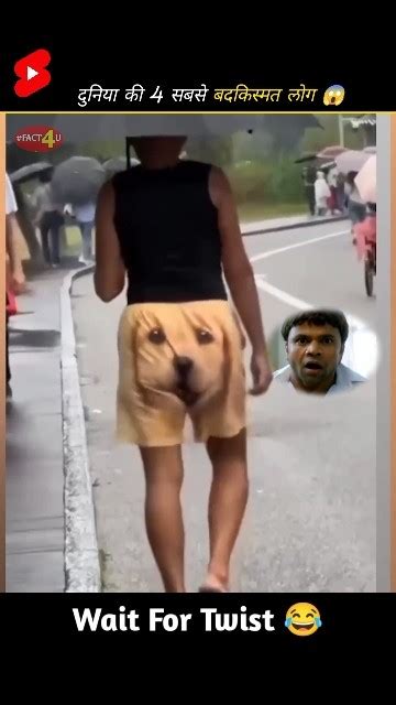 Most Funny Video 🤣 Shorts Youtubeshorts Funny Facts Trending
