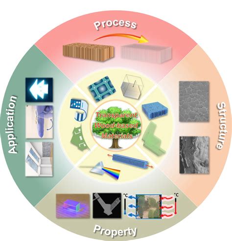 南林韩景泉教授 符启良教授 加拿大ubc姜锋教授合作 Prog Mater Sci 综述：基于自上而下法的透明木质功能材料 中国聚合物网科教新闻