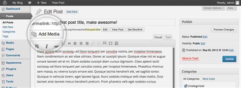 Add Multimedia To Wordpress Posts Fastwebhost Tutorials
