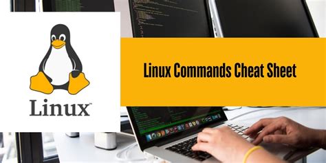 Linux Commands Cheat Sheet Dev Community