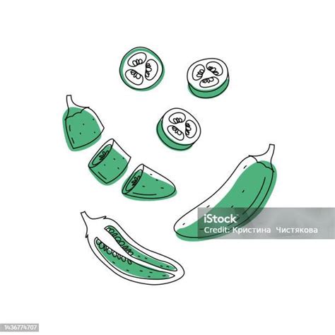 낙서 윤곽선 세트 전체와 슬라이스 Jalapeno 칠리 고추 반점 투명한 배경에 격리된 포장을 위한 벡터 손으로 그린 그림 할로피뇨에 대한 스톡 벡터 아트 및 기타 이미지