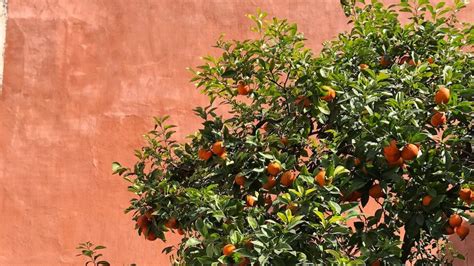 Kamperen In Zuid Spanje Intowintersport