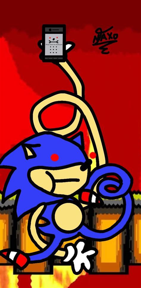 Sunky Wallpapers Top Free Sunky Backgrounds Wallpaperaccess