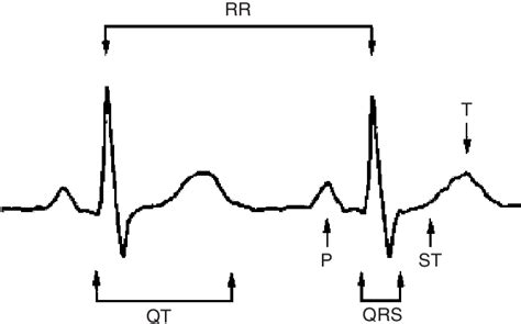 Components Of The Electrocardiogram Used For Sophisticated Computer