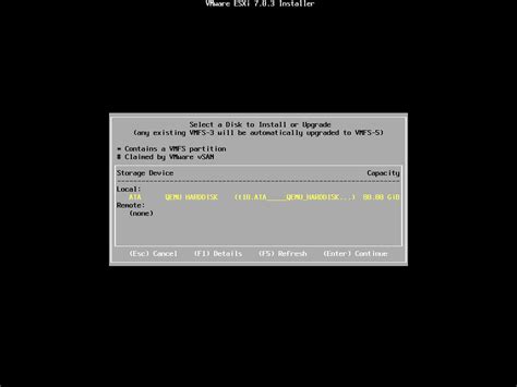 Vmware Esxi 7 Install Server World