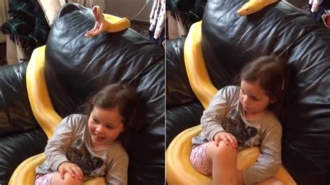 Bizarre Girl Watching Tv With 12 Foot Long Reticulated Python Watch Video Offbeat News Bizarre Girl Watching Tv With 12 Foot Long Reticulated Python Watch Video Offbeat News