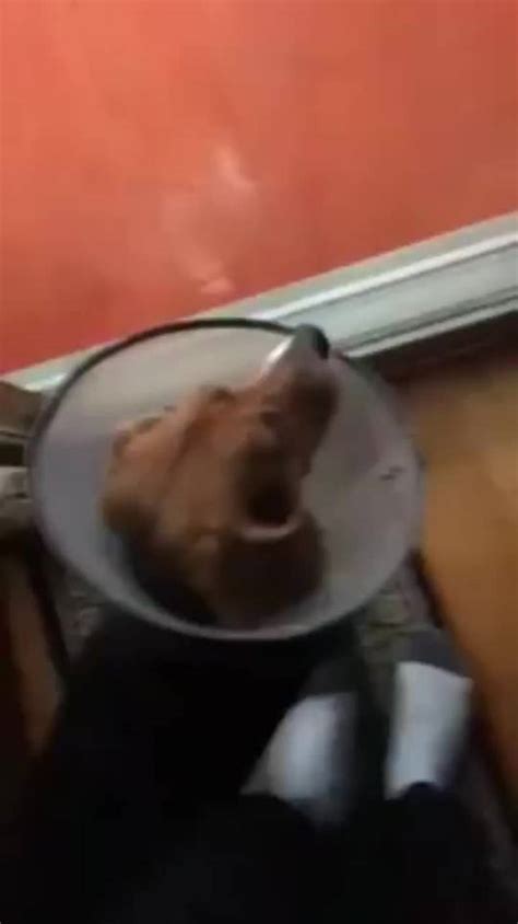 The Perfect Use Of Quick Zoom Doesnt Exis Scrolller