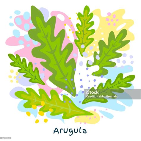 신선한 녹색 Arugula 야채 주스 스플래시 유기 식품 에 추상 콜로풀 스플래터 스플래시 배경 벡터 가리기에 대한 스톡 벡터