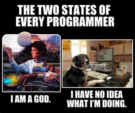 the first thing you learn working as a programmer