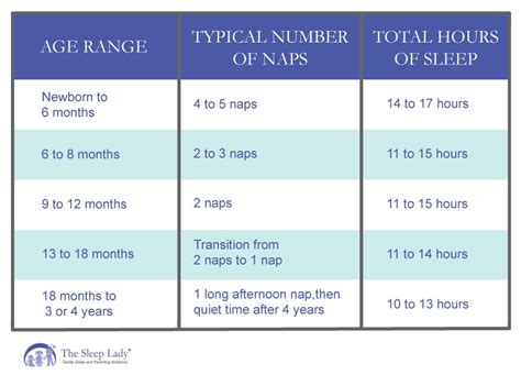 Nap Time Chart