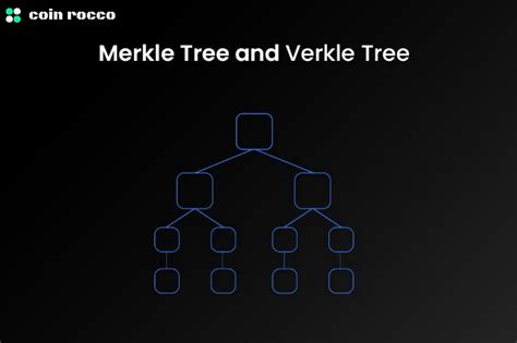What Is Merkle Trees And Verkle Trees By Coinrocco Medium
