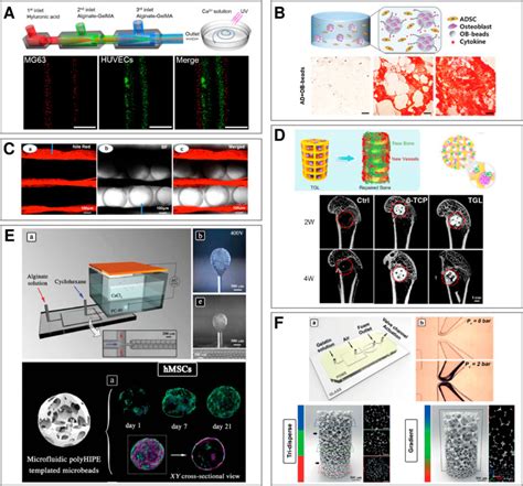 Microfluidic Formulation Of Topological Hydrogels For Microtissue