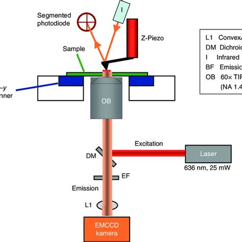 Fig S2 Experimental Combined Atomic Force Fluorescence Microscopy Download Scientific Diagram