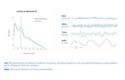 Ai For Eeg Data Processing Deep Learning Bitbrain