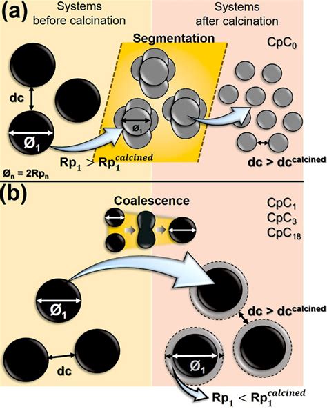 Model Of Evolution Of The Hybrid Systems Primary Particles Level 1 Download Scientific