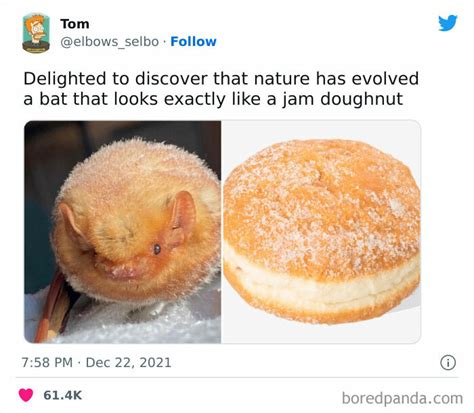 “making Science Bad ” 40 New Nerdy Posts Shared On This Page With 594k Followers Bored Panda