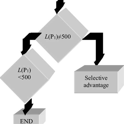 Logical Scheme On The Process Evolution Download Scientific Diagram