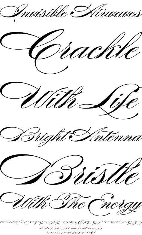 burgues script desktop font and webfont youworkforthem