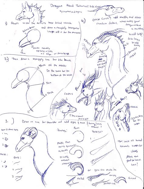Dragon Head Tutorial By Saphariadragon On DeviantArt Dragon Head Tutorial By Saphariadragon On DeviantArt