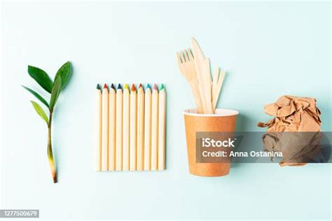 공예 종이 커피 컵 연필 녹색 잎 새싹및 재활용 칼톱 보기 플랫 레이 제로 폐기물 친환경 천연 유기 플라스틱 프리 컨셉 복사