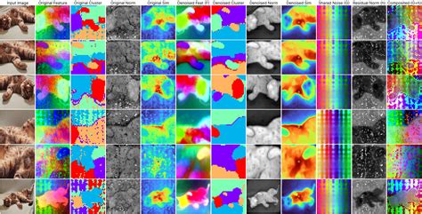 dvt denoising vision transformers