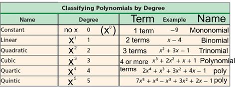 Polynomials Algebra 2