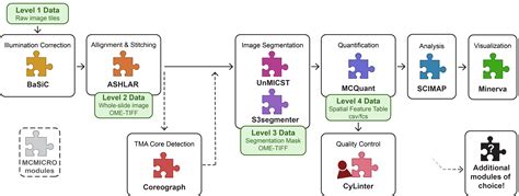 Https Mcmicro Org Images Fig1 Png